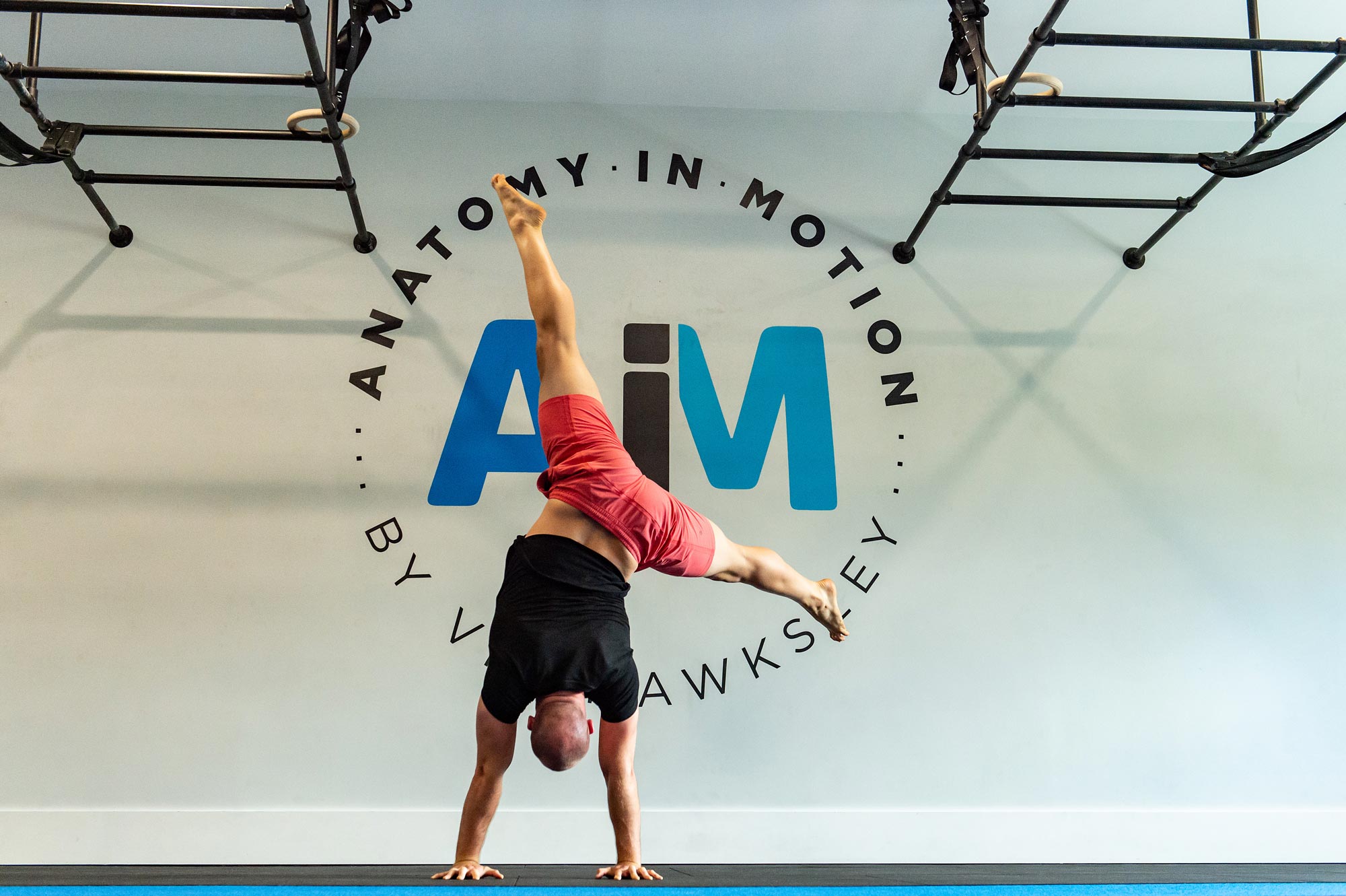About - Anatomy in Motion
