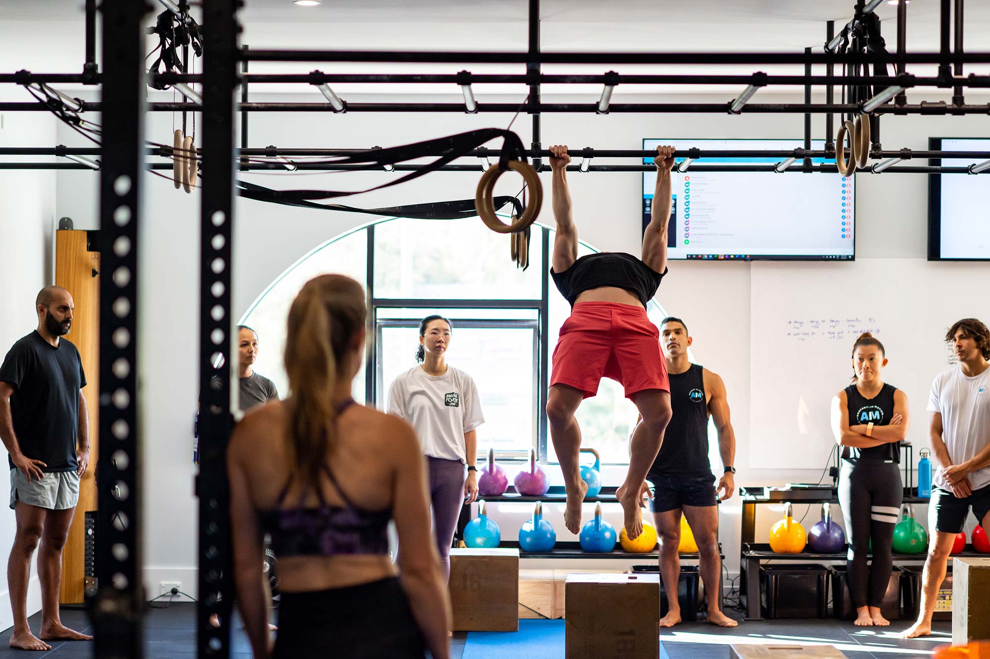 Anatomy In Motion Strength & Movement Gym North Sydney